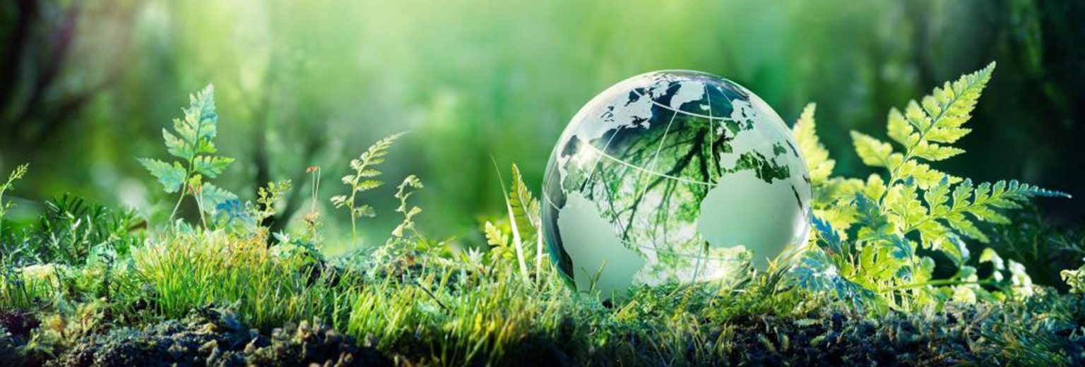 Conversations for a One Planet Region - Saanich Legacy Foundation